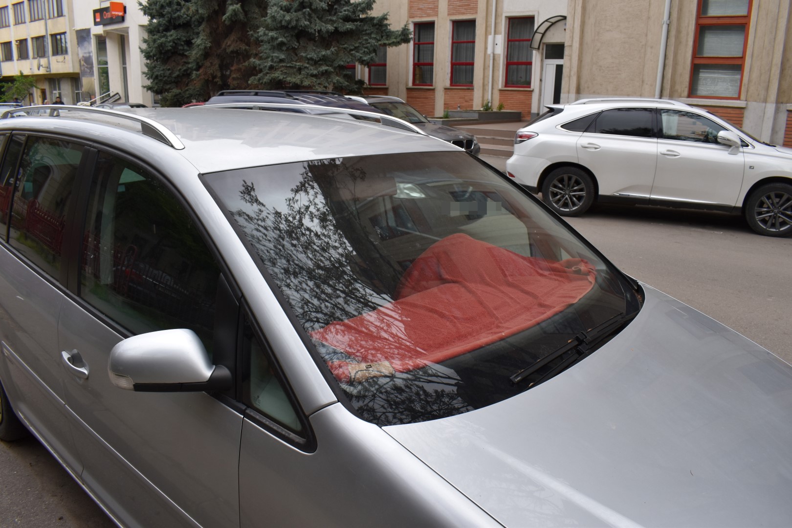 Poza zilei 25 aprilie 2024 - Botosaneanul